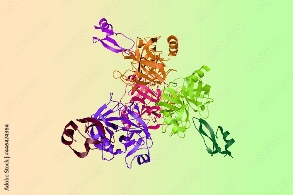 Crystal structure of human mesotrypsin in a complex with bovine ...