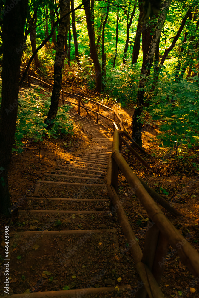 Vertical Nature Photography