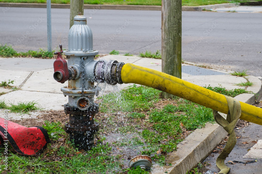 Active Fire Hydrant with Attached Fire Hose and Spewing Water Stock ...