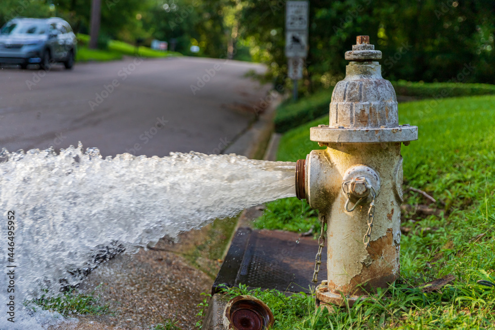 Open fire hydrant gushing water onto street. Stock Photo | Adobe Stock