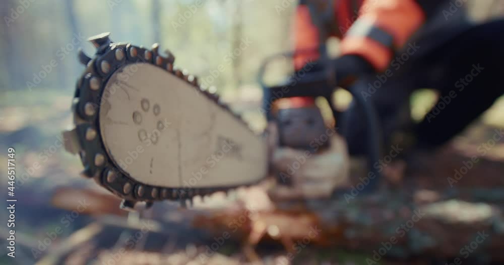 The lumberjack starts the chainsaw. Close-up work of a saw ...
