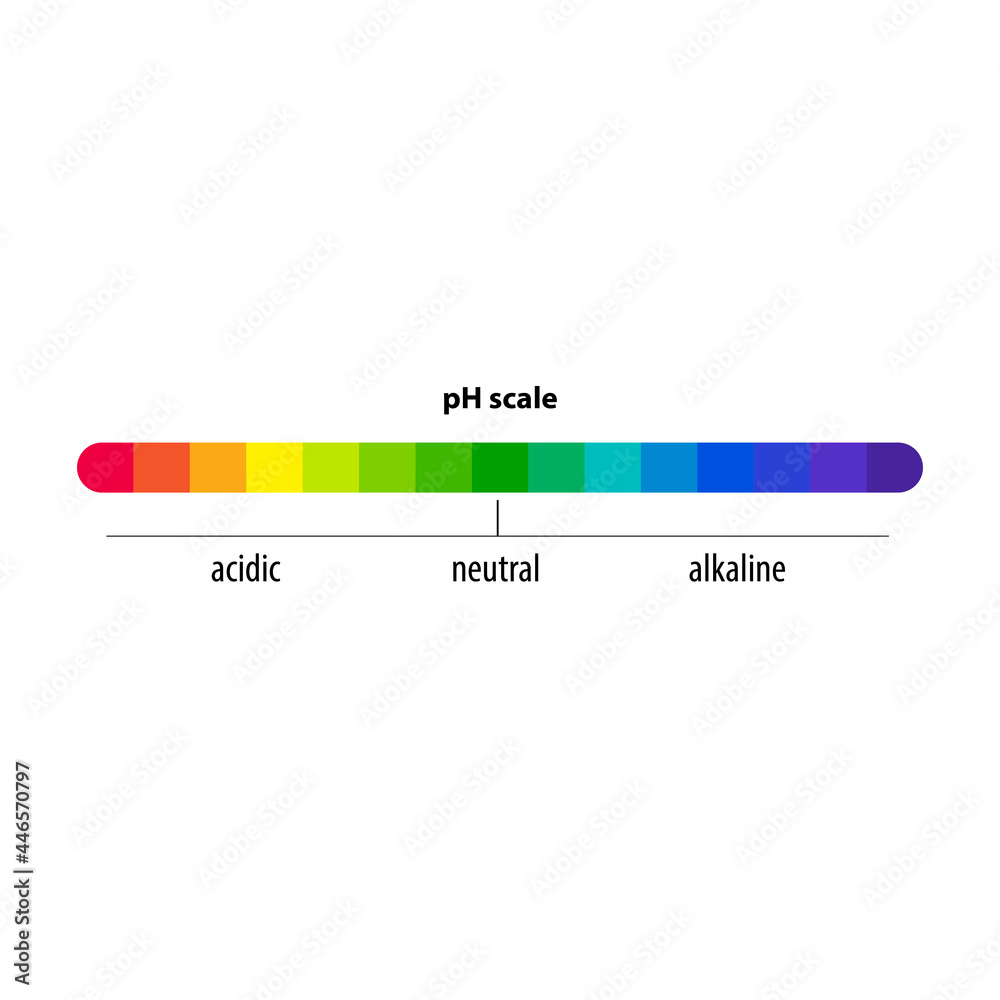 pH value scale chart for acid and alkaline solutions, acid-base balance ...