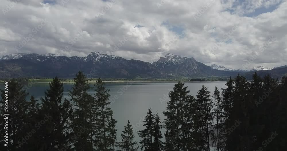 Dlog flat aerial drone view of the Forggensee lake at the feet of the ...
