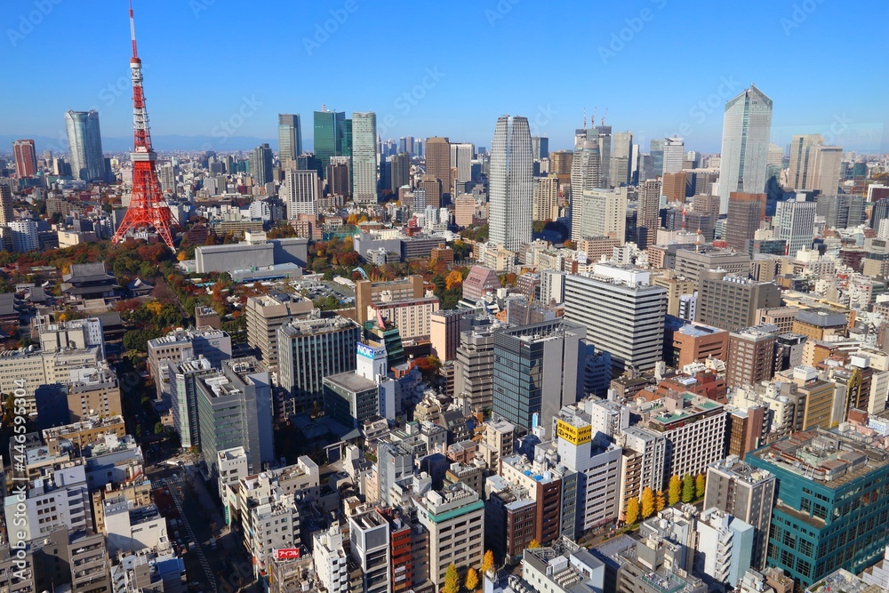 TOKYO, JAPAN - DECEMBER 2, 2016: Cityscape of Tokyo with famous Tokyo ...
