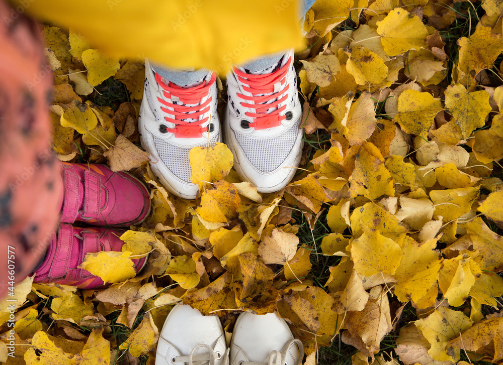 Fallen autumn dried leaves on the ground with the feet of people in ...