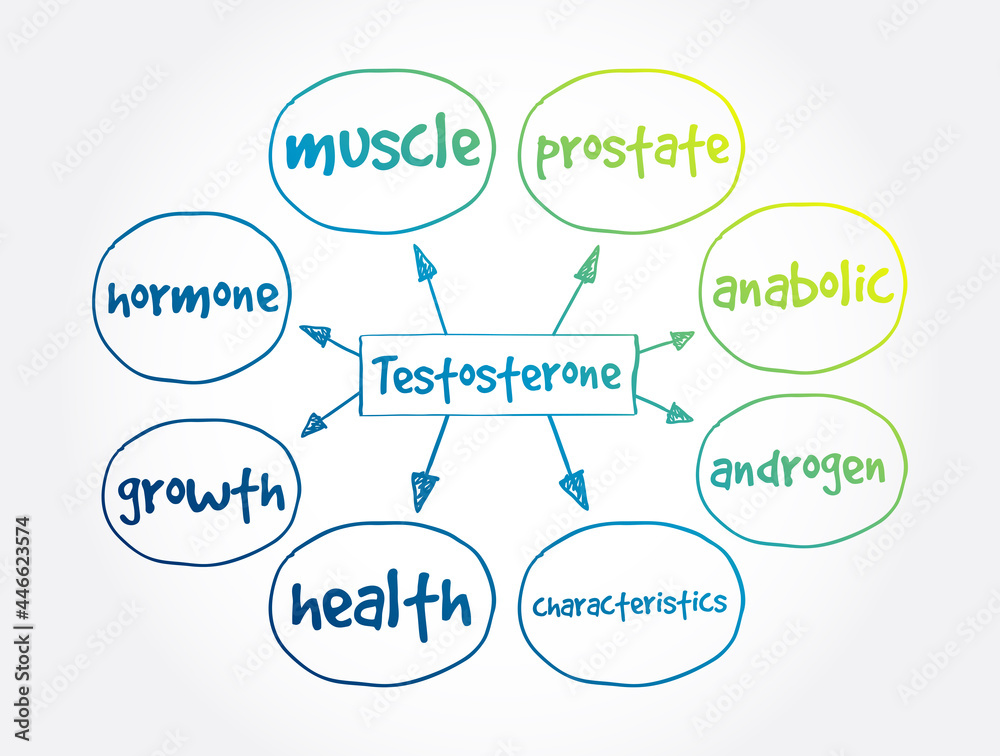 Testosterone mind map, medical concept for presentations and reports ...