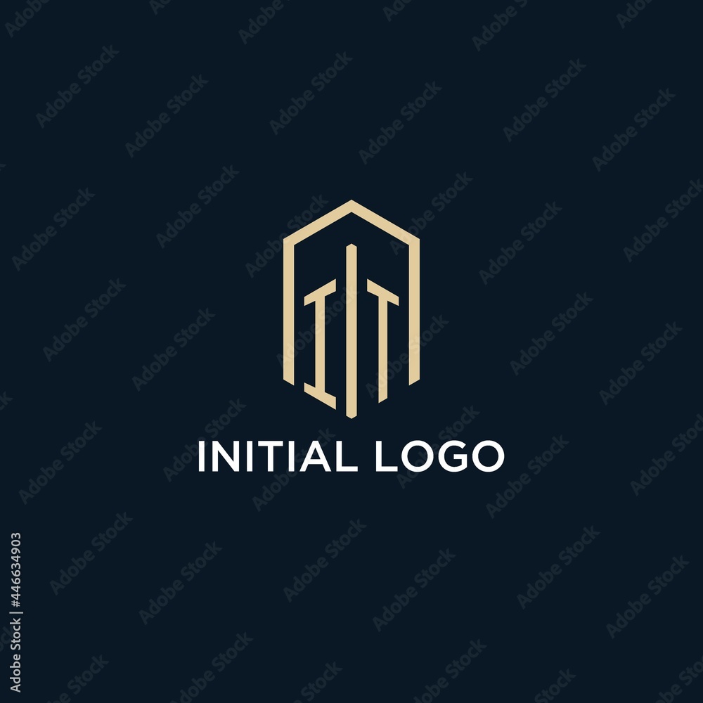IT initial monogram logo with hexagonal shape style, real estate logo ...
