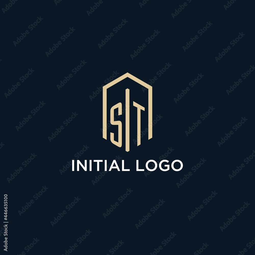 ST initial monogram logo with hexagonal shape style, real estate logo ...