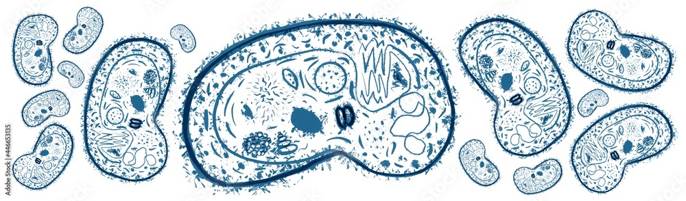 Raster illustration of an abstract blue bacteria or cell with internal ...