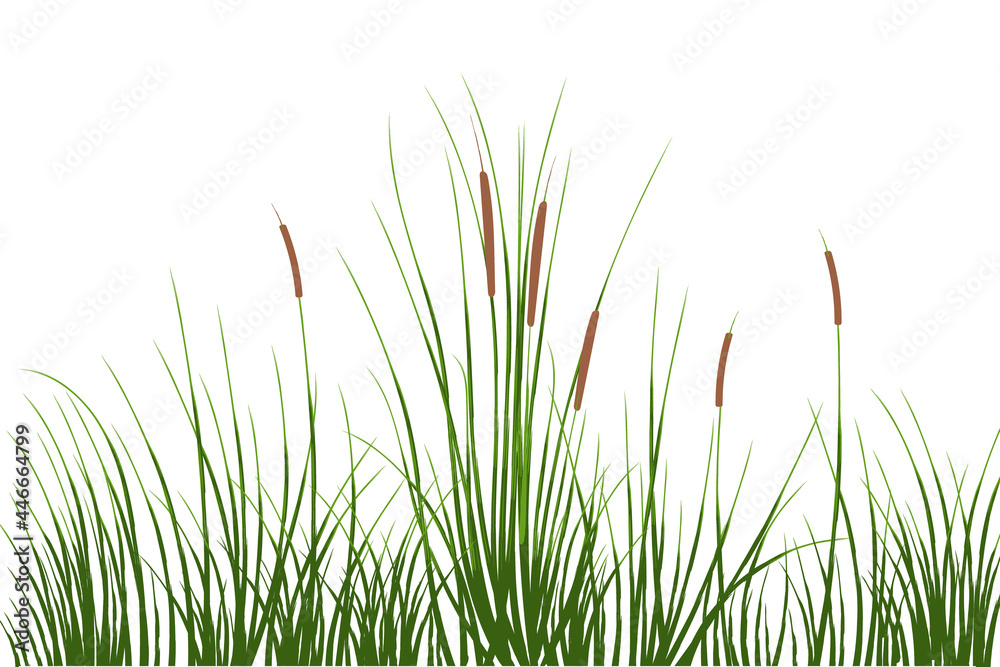 Cane silhouette on white background.Vector hand drawing sketch. Stock ...