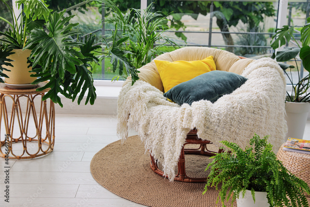 Indoor terrace interior with soft papasan chair and green plants Stock ...