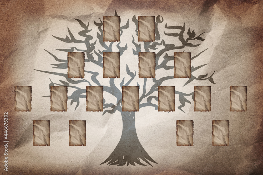 Family tree with empty frames for photos in vintage style, illustration ...
