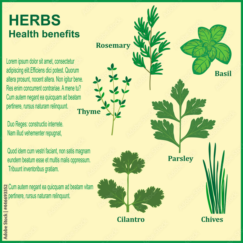 Vector infographic illustration about the health benefits of commonly ...