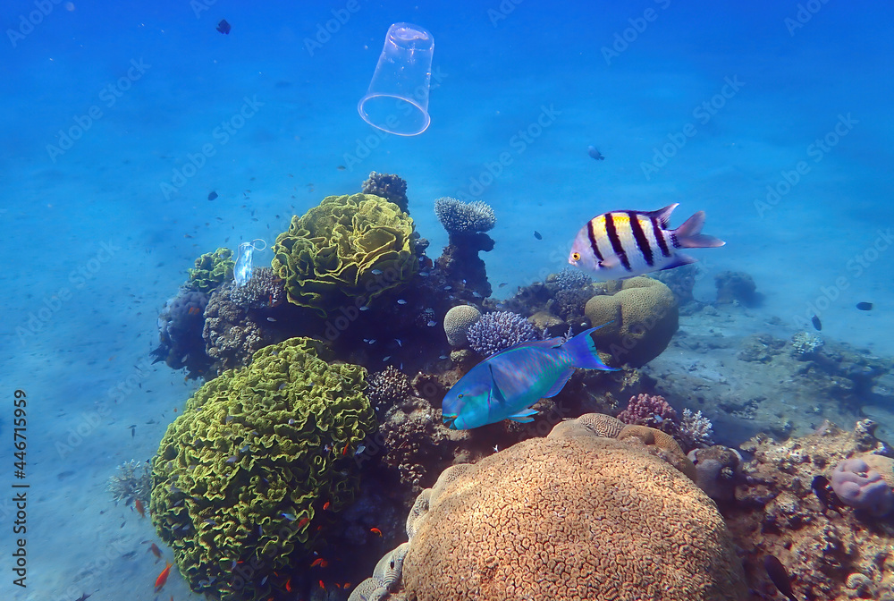 Stockfoto Discarded protection mask hooked on coral reefs and plastic ...