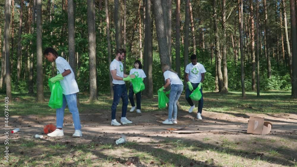 Eco-activists and volunteers clean up garbage in the forest, fight ...