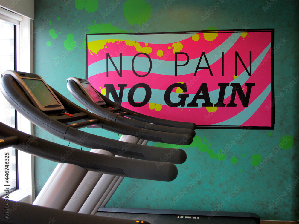 Treadmills and other cardio equipment and weight machines for muscle ...