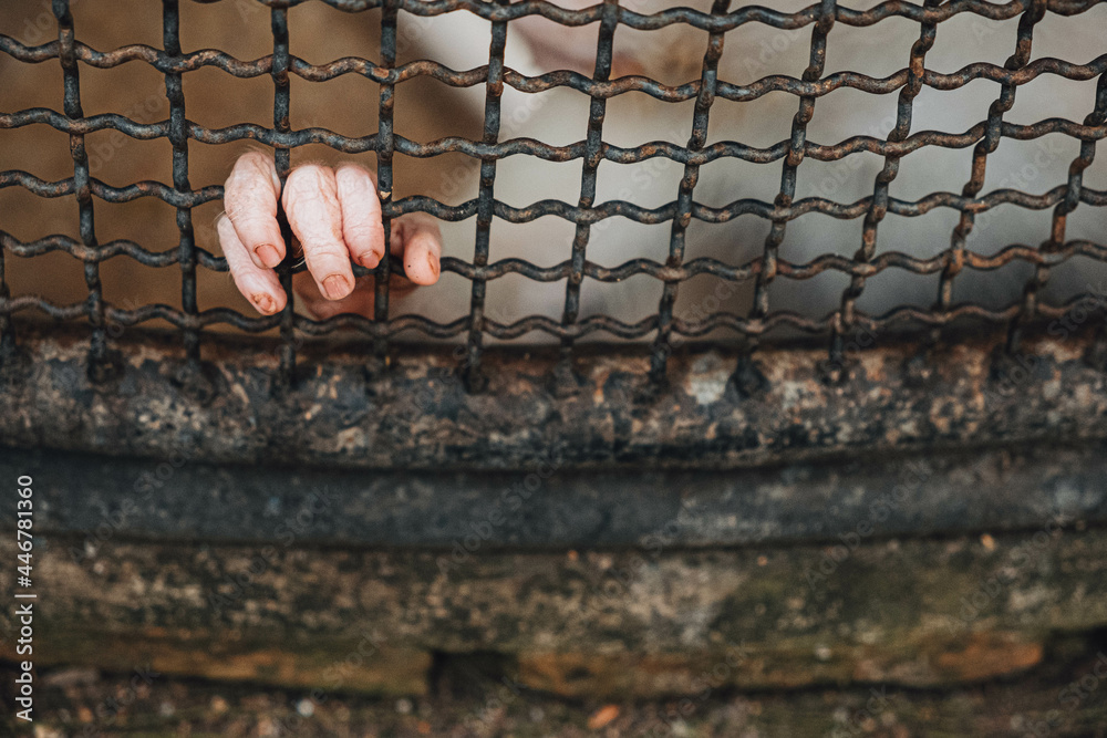 a monkey feeling loneliness and sadness behind jail. the eyes of a ...