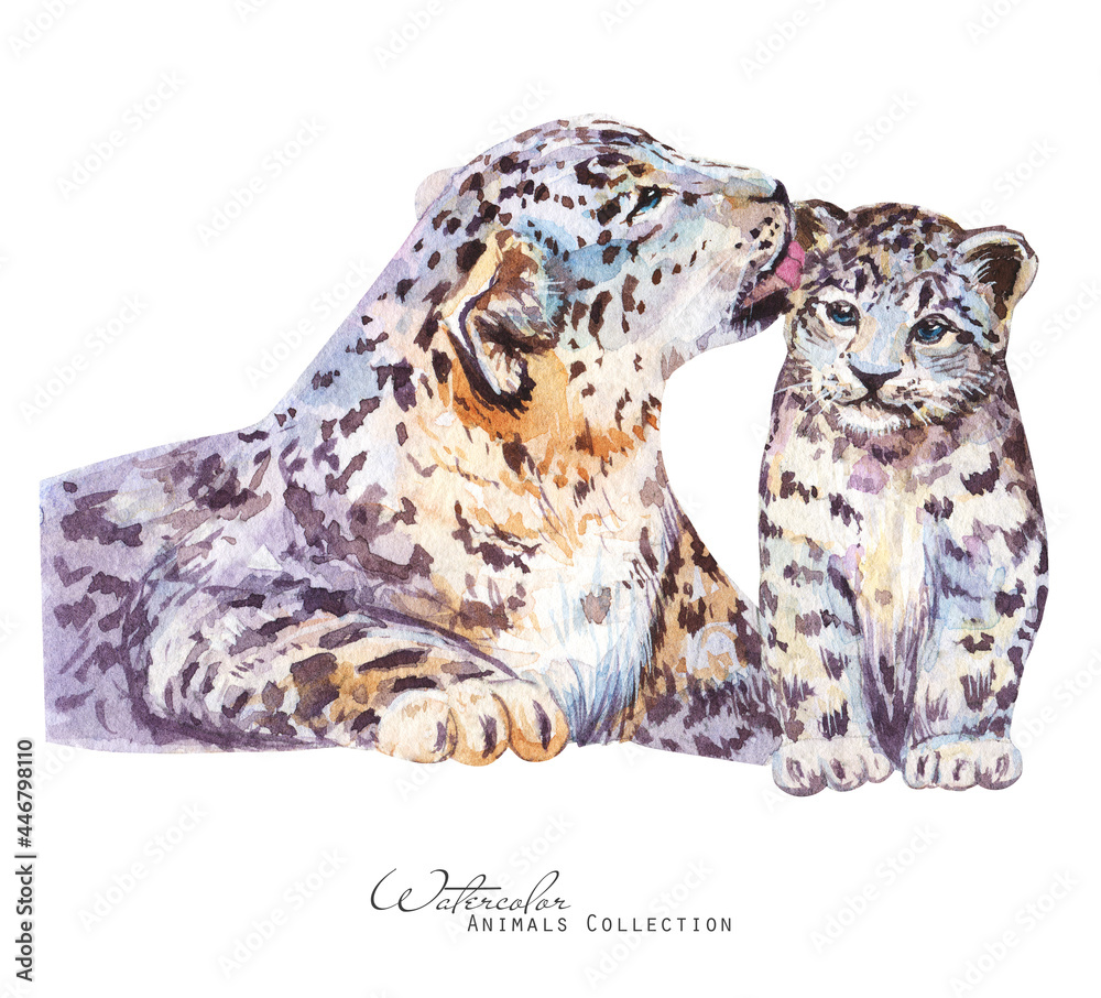 Leopard watercolor illustration. Snow leopard portrait. Mother leopard ...