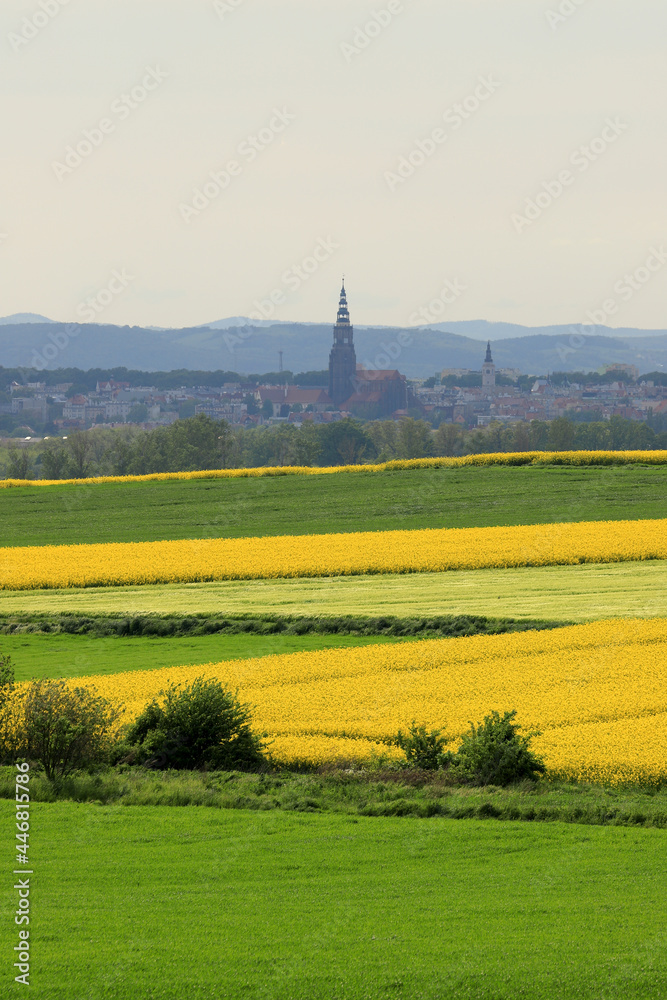 Sleza Landscape Park at the foot of the Sleza Mountain, in south ...