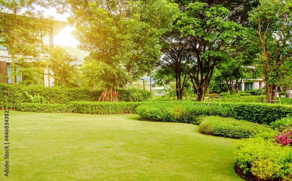 House in the park, Green lawn, front yard is beautifully designed ...