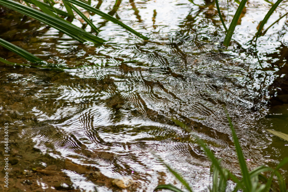 Silky ripples in water of a crystal clear water creek as idyllic ...