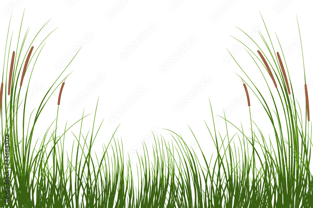 Cane silhouette on white background.Vector hand drawing sketch. Stock ...
