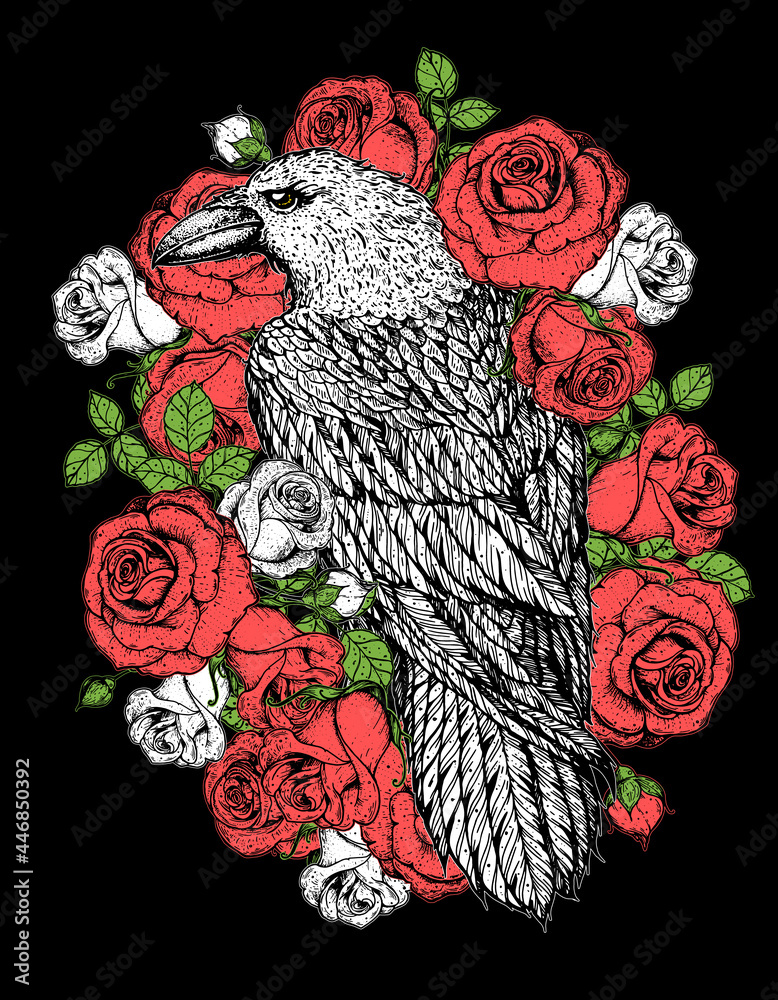 Raven and roses flowers hand drawn illustration. Tattoo vintage print ...