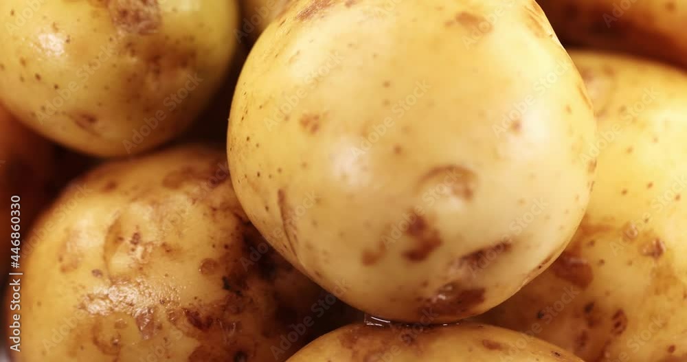 raw potato rotate. Fresh vegetables close up. Super slow motion Stock ...