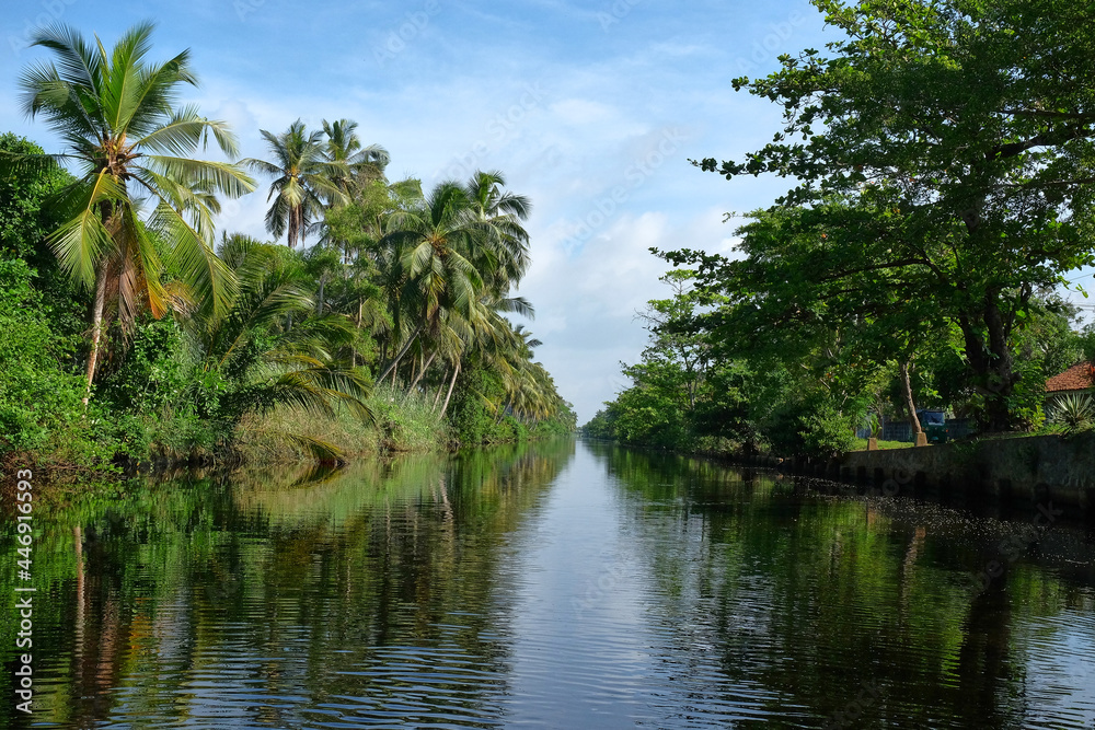 Hamilton Canal (Dutch Canal) road to the Muthurajawela wetlands in ...