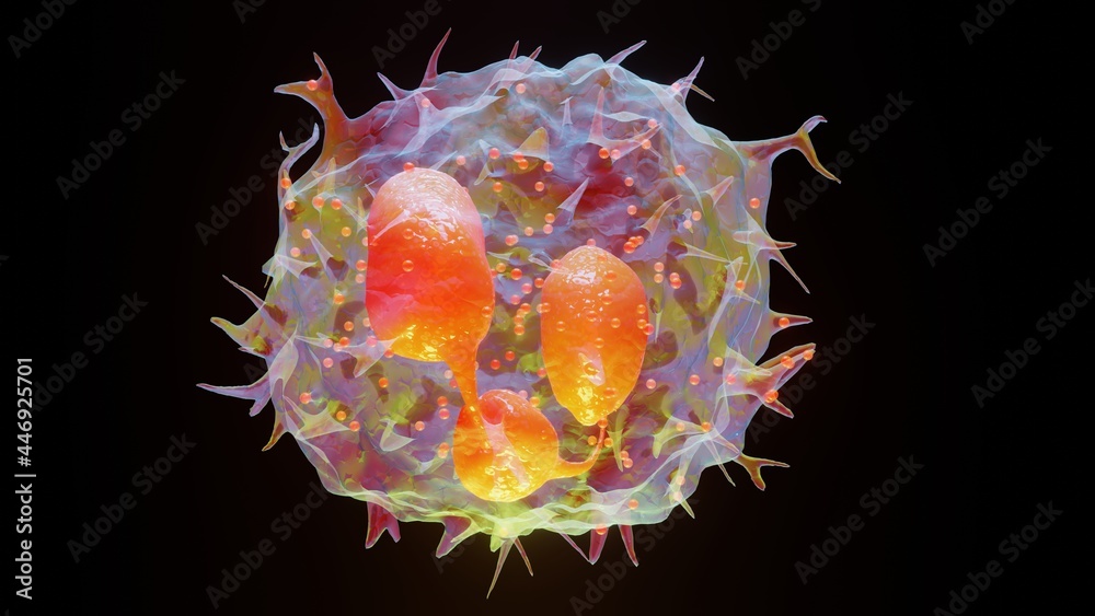 3d Illustration of Neutrophiles type Leukocyte cell, white blood cells ...
