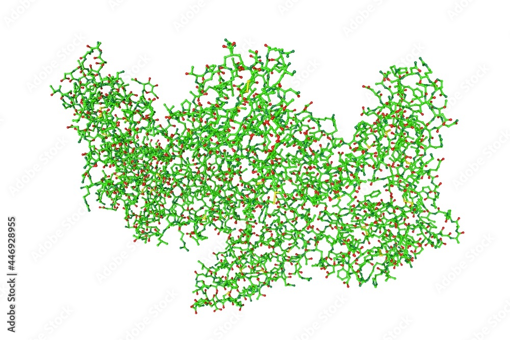 Molecular model of human interleukin-3 (IL-3) in complex with receptor ...
