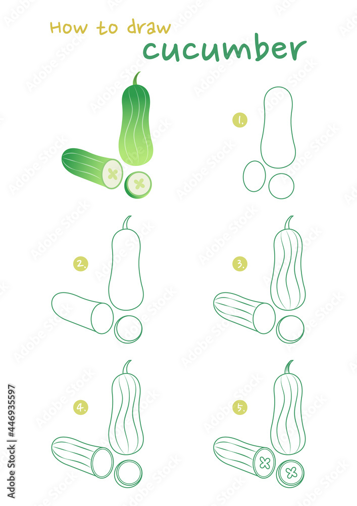 Vetor de How to draw a cucumber vector illustration. Draw a cucumber ...