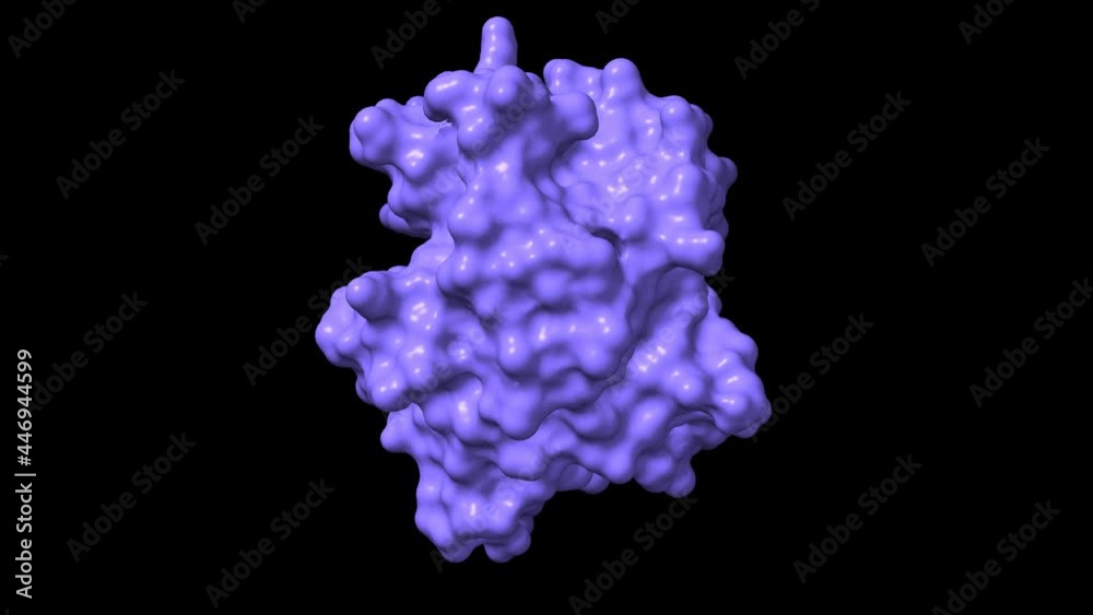 Structure of factor XI complexed with a pyrimidinone inhibitor ...