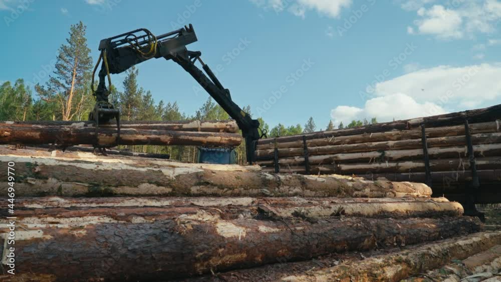 Stack of wood in the big Forest. A Manipulator Machine is transferring ...