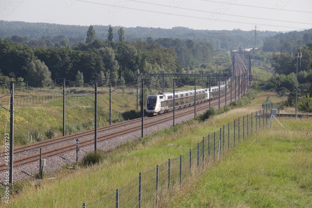 2021.07.24 Passage d’un TGV INOUI de la SNCF sur la LGV SEA Stock Photo | Adobe Stock