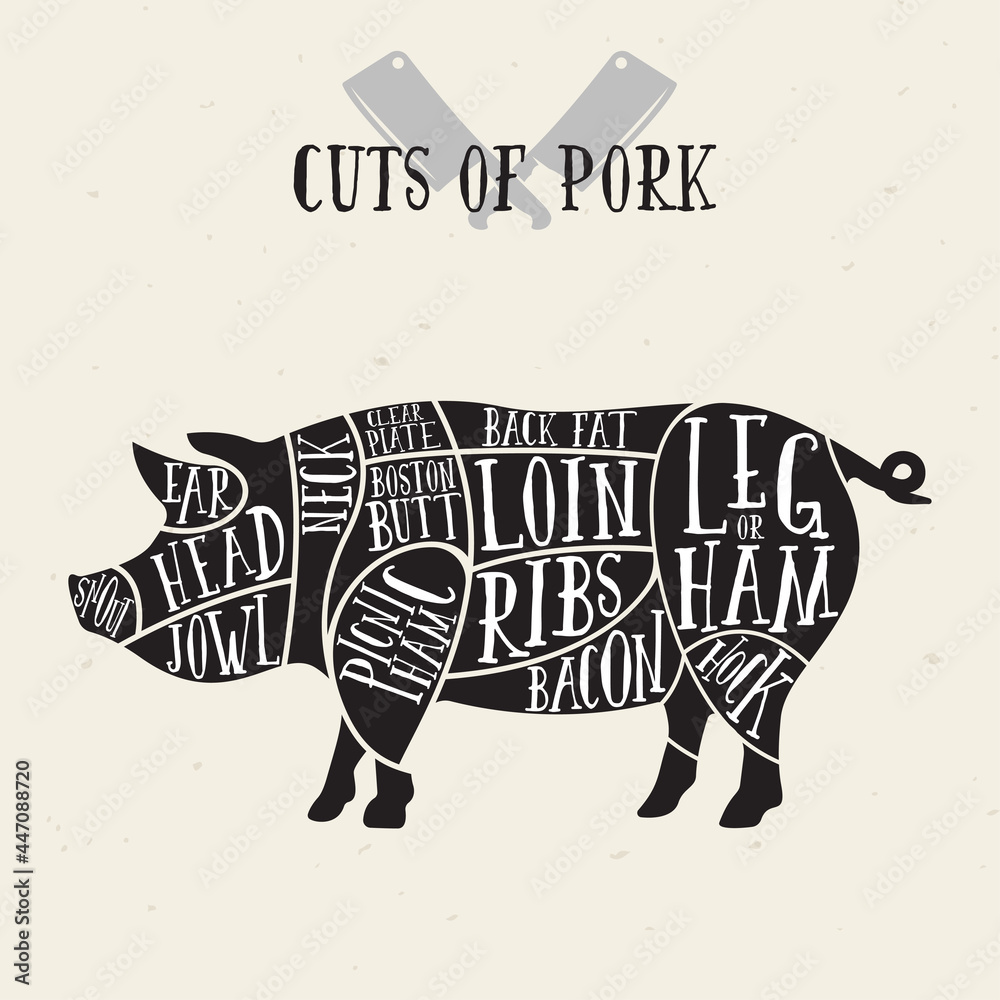 Meat cuts - pork. Diagrams for butcher shop. Scheme of pork. Animal ...