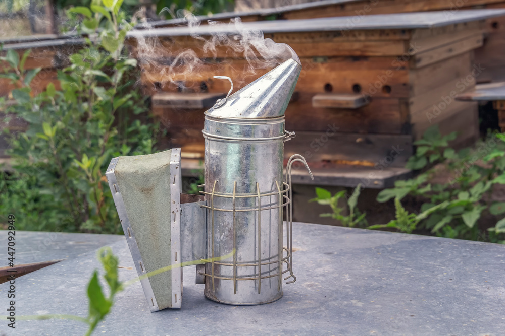 Beekeeper Smoker smokes white smoke against the background of hives in ...