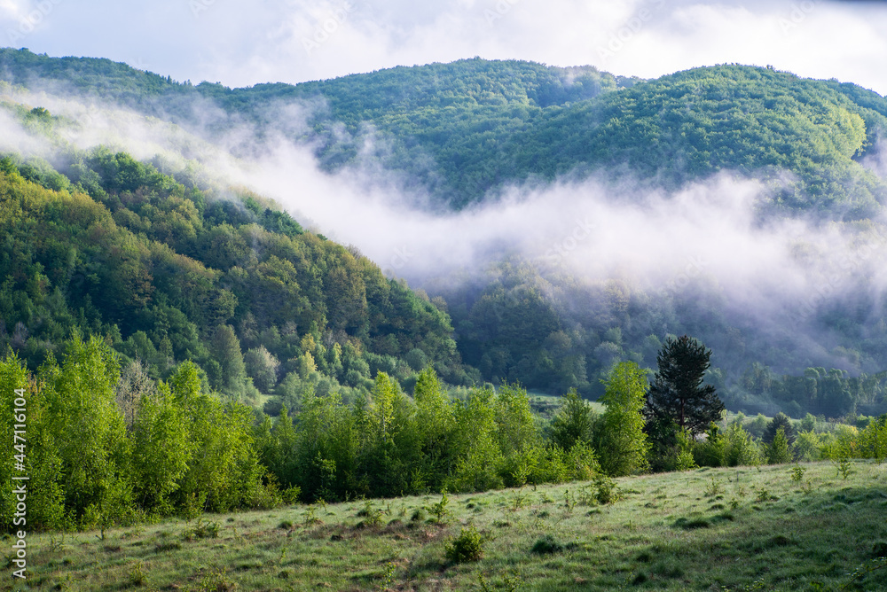 morning fog in the mountains. A natural phenomenon. ecological nature ...