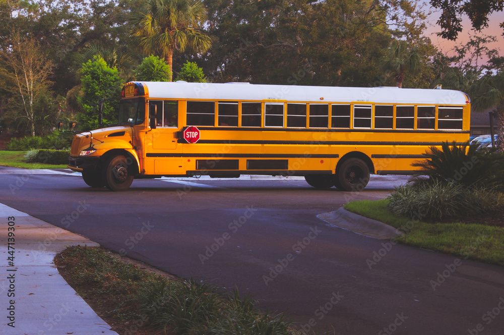 yellow public school bus entering intersection to cross roads in early ...