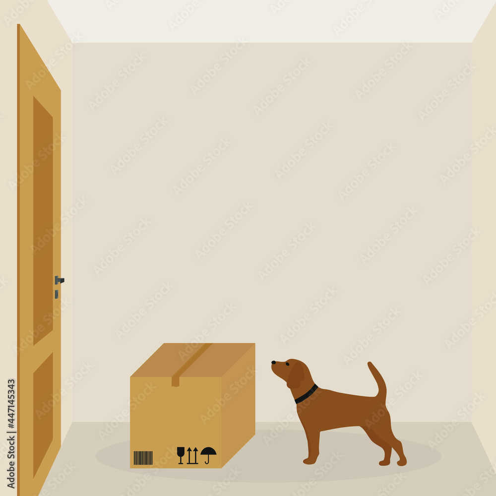 Dog with collar sniffs a cardboard box in a room with a closed door ...