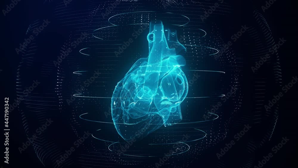 Anatomically correct blue digital human heart seamless loop. Futuristic ...