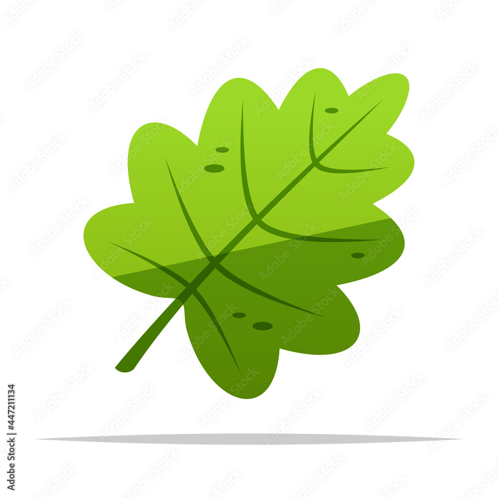 Cartoon catnip leaf vector isolated illustration Stock Vector | Adobe Stock