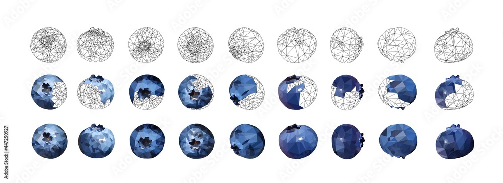 Set of Blueberries tasty and delicious isolated on white. Low poly ...