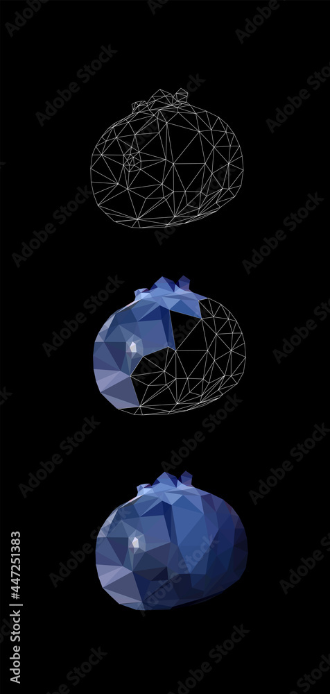 Blueberries tasty and delicious isolated on black. Low poly triangular ...