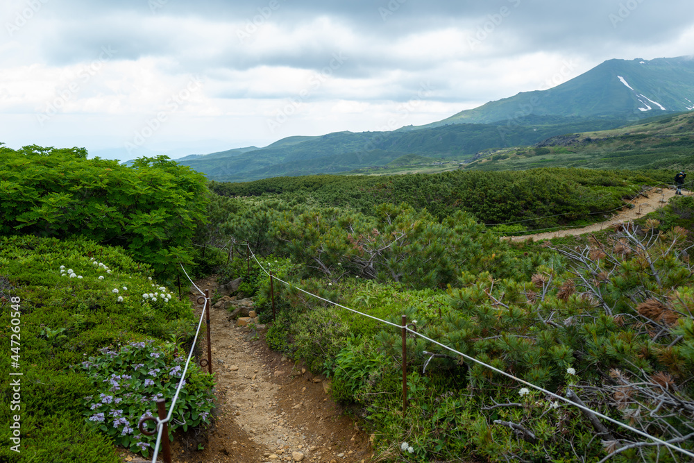 北海道上川郡東川町にある大雪山の旭岳の風景 View of Mt.Asahidake in Mt.Daisetsuzan ...