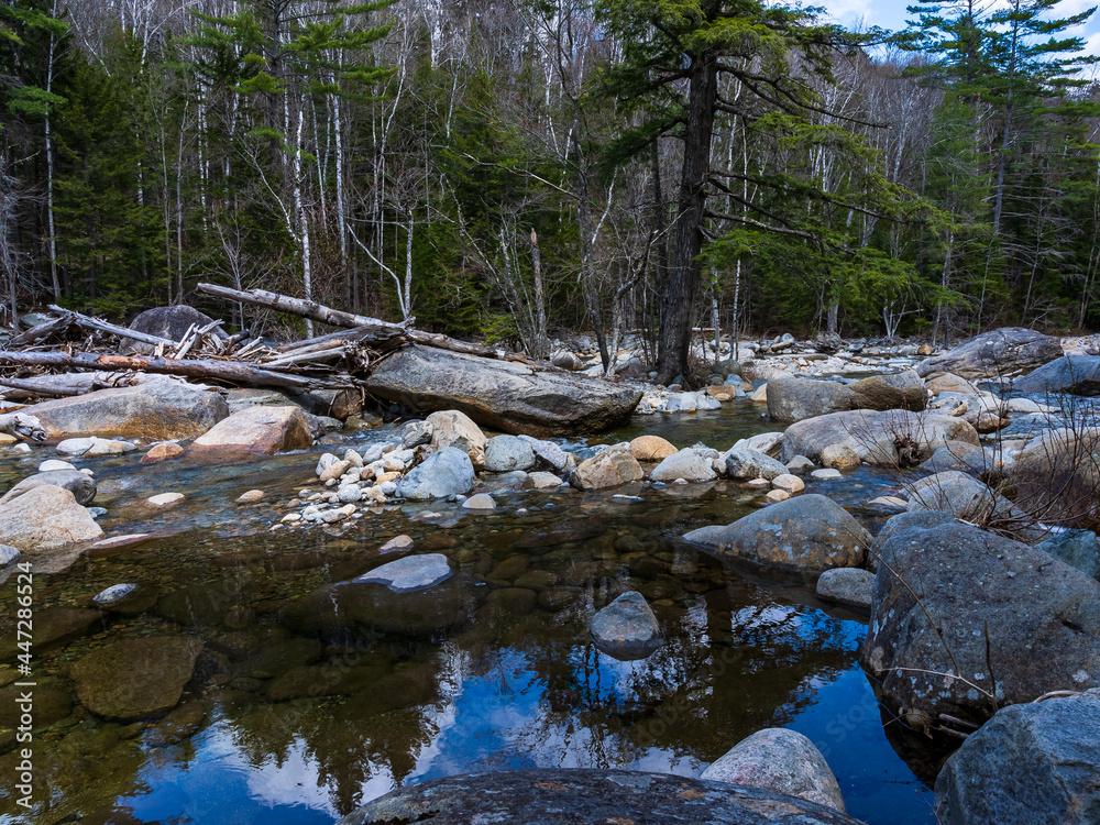 Foto Stock Reflection of the sky and trees in the slower flowing ...