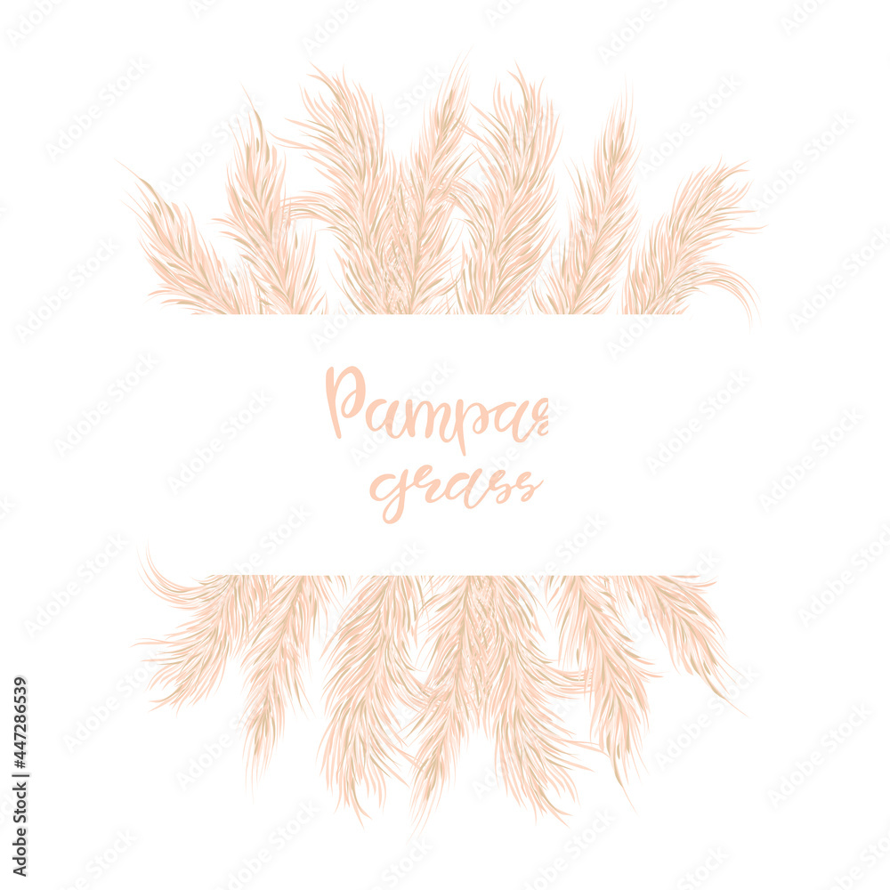 Background border dry pampas grass for invitations, postcards. Selloana ...