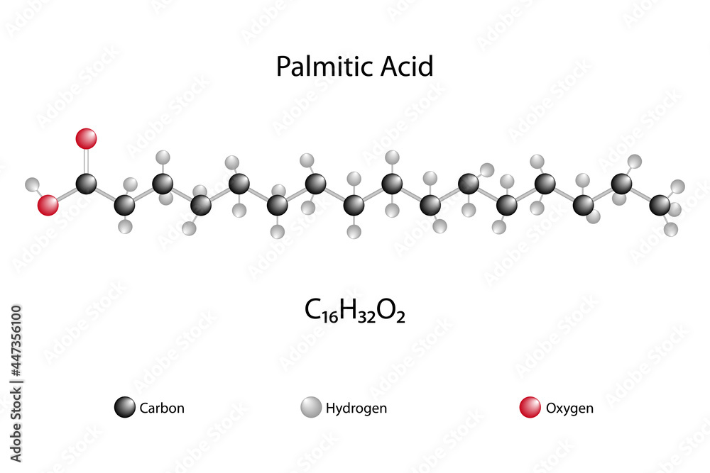 Molecular formula of palmitic acid. Chemical structure of palmitic acid ...