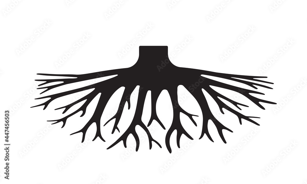 Roots icon or logo. Root of the tree. Vector illustration. Stock Vector ...