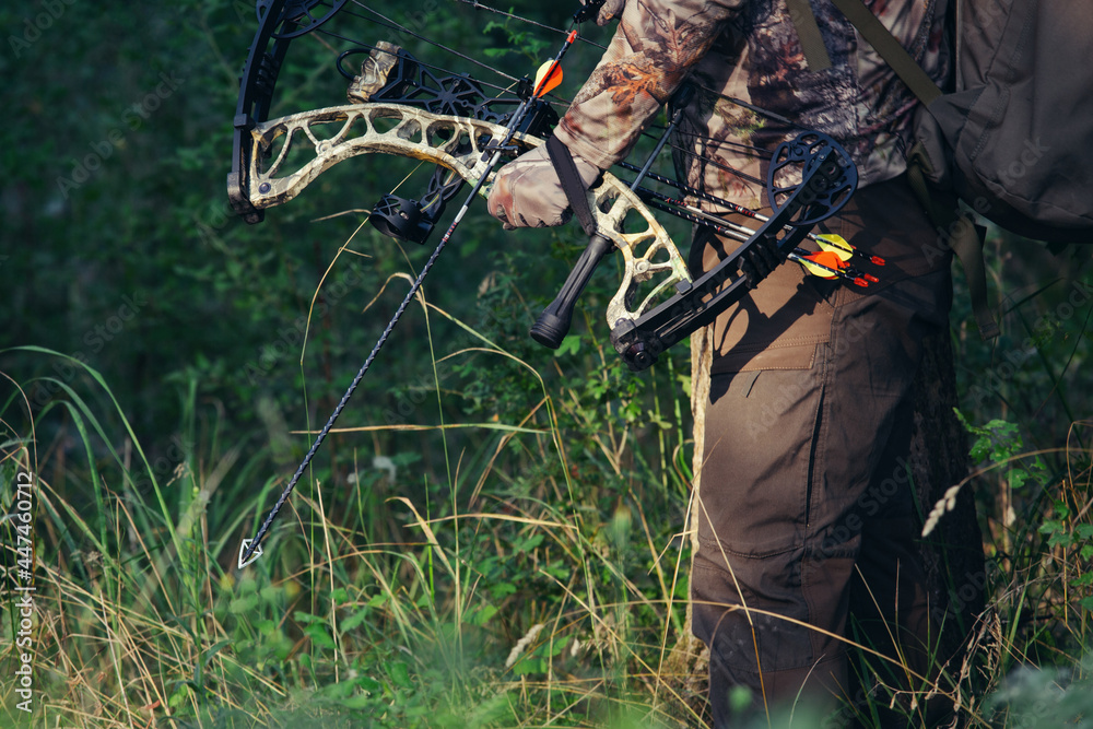 Hunter in the woods with bow and arrow ready to take aim at his prey ...